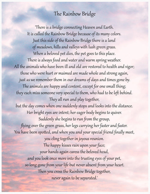 RAINBOW BRIDGE TOKEN DOGS LEAVE PAW PRINTS – Zero Rising